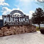 Natural Bridge Wildlife Ranch: Self-Guided Safari Drive-Thru - The Walk-A-Bout Experience