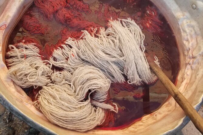 Natural Dyeing and Organic Weaving Workshop in Oaxaca - Practical Details and Logistics