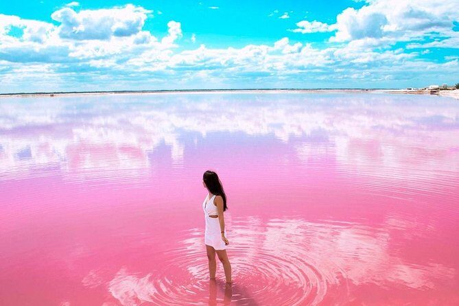 Natural Pink Lake Coloradas Transportation Included from Tulum - Value and Overall Impression