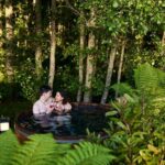 Nature at its best Lake Tarawera Treetop Walk and Forest Spas - Walking Among Giants in Whakarewarewa Forest