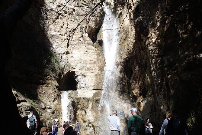 Nature Walk/Hike Tour near Disneyland: ID plants & wildlife - Practical Details and Tips