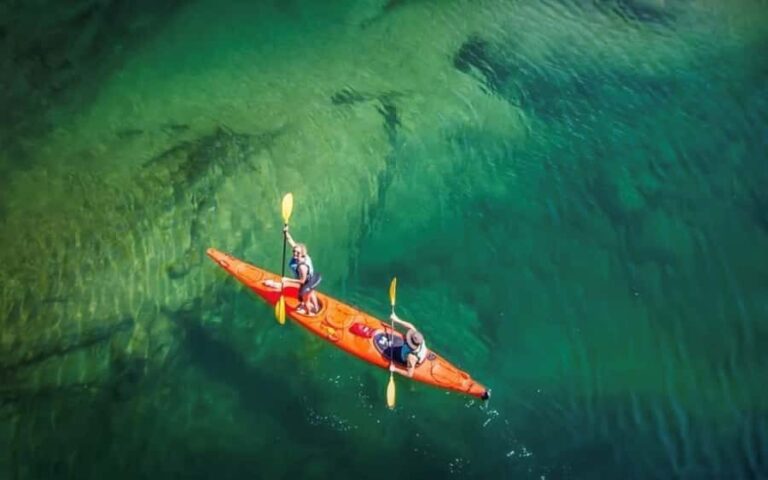 Nelson: Abel Tasman Kayaking & Great Taste Trail Bike Tour - In-Depth Look at the Itinerary