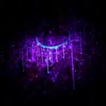 Nelson: Brook Waimrama Sanctuary Guided Night Walk - Why This Tour Offers Good Value