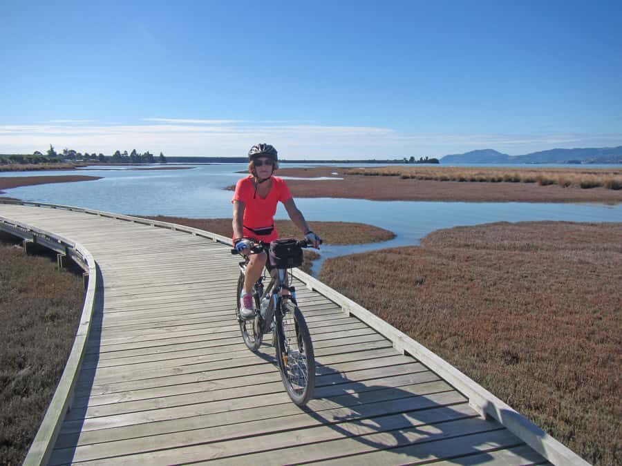 Nelson: Great Taste Trail Coastal Bike Ride to Mapua - Reviews and Real Travelers’ Insights