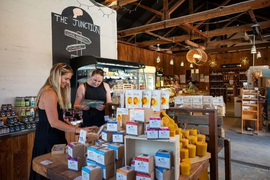 Nelson: Taste Tasman Food & Wine Tour with Lunch & Tastings - Who Would Love This Tour?