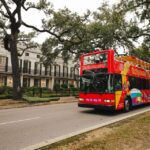 New Orleans: 2 or 3 Day Hop-On Hop-Off Bus with Walking Tour - Value for Money and Practical Considerations