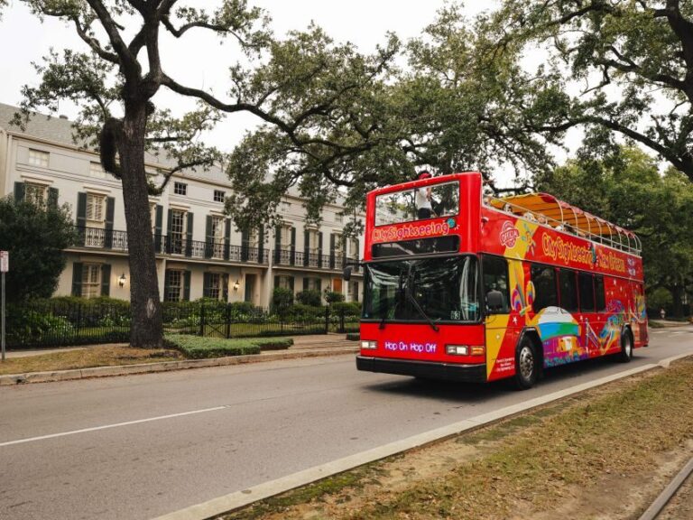 New Orleans: 2 or 3 Day Hop-On Hop-Off Bus with Walking Tour - Value for Money and Practical Considerations
