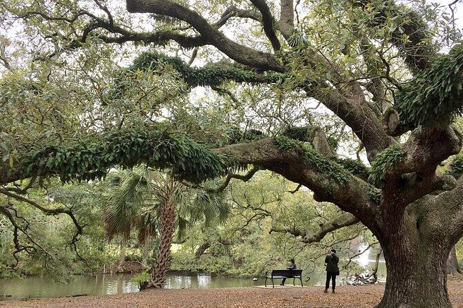 New Orleans Favorites Explore Beyond the French Quarter - Exploring the Neighborhoods and Sights of New Orleans