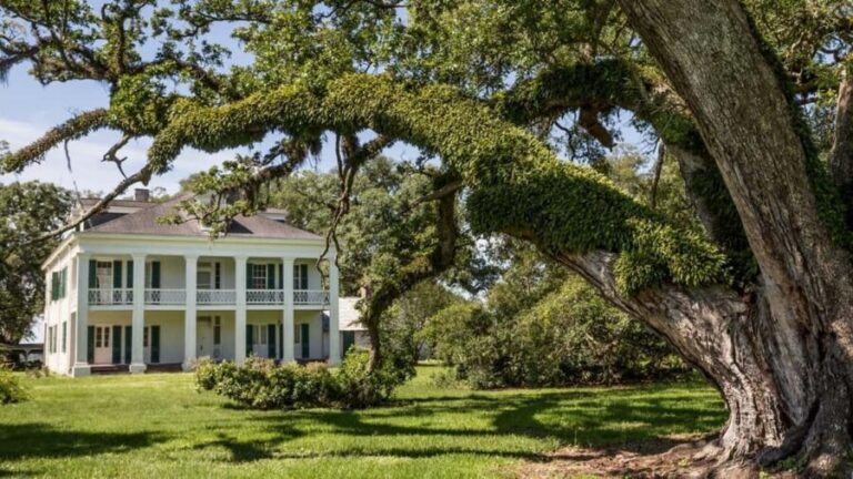 New Orleans: St. Joseph and Felicity Plantation Guided Tour - Who Should Consider This Tour?