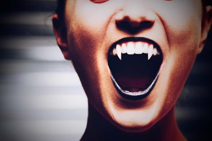 New Orleans: Vampires, Voodoo, and Ghosts Tour - Why You Should Consider This Tour