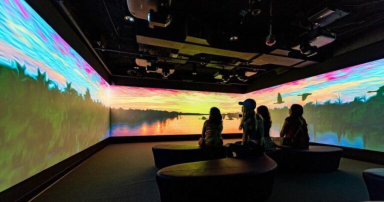 New Orleans: Vue Orleans Observation Deck Entry Ticket - Authentic Visitor Insights