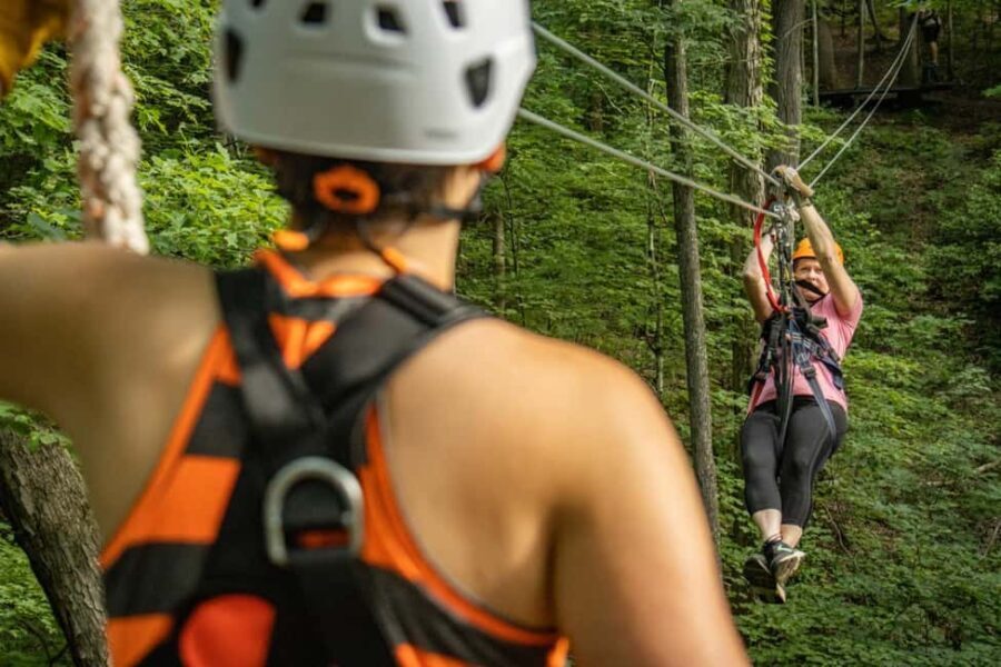 New River Gorge: TimberTrek Adventure Park Entry Ticket - Final Thoughts: Is TimberTrek Worth It?