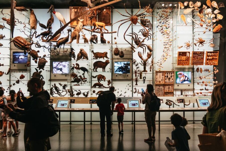 New York City: American Museum of Natural History Ticket - Practical Tips for Visiting