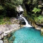 New Zealand: 9-Day Private Tour with 14-16 Activities - What Makes This Tour Truly Special
