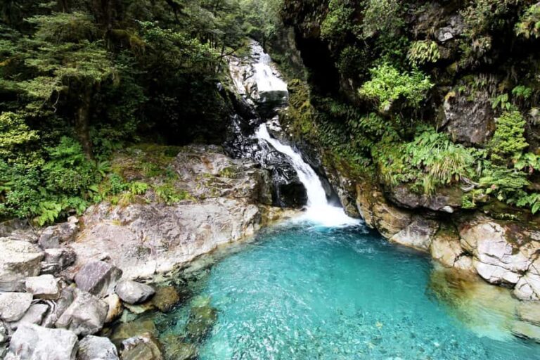 New Zealand: 9-Day Private Tour with 14-16 Activities - What Makes This Tour Truly Special