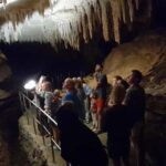 New Zealand: Milky Way Glowworm Cave Tour - Who This Tour Is Best For