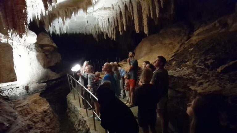 New Zealand: Milky Way Glowworm Cave Tour - Who This Tour Is Best For