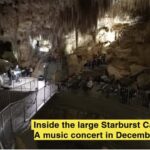 New Zealand: Starburst Cathedral in Milky Way Glowworm Cave - Why This Tour Is a Great Value
