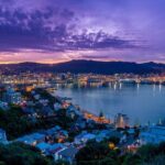 New Zealand Wellington Airport (WLG) to Wellington City Centre - The Booking and Pickup Process: Simple and Transparent