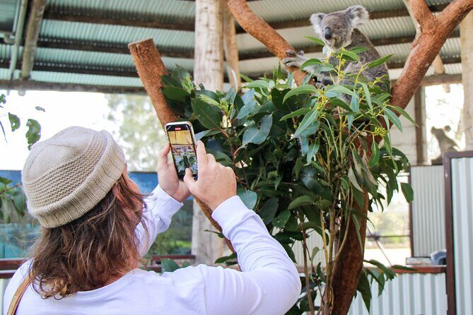 Newcastle: Animal Lovers Tour - Kangaroos, Dolphins & more! - What Sets This Tour Apart?
