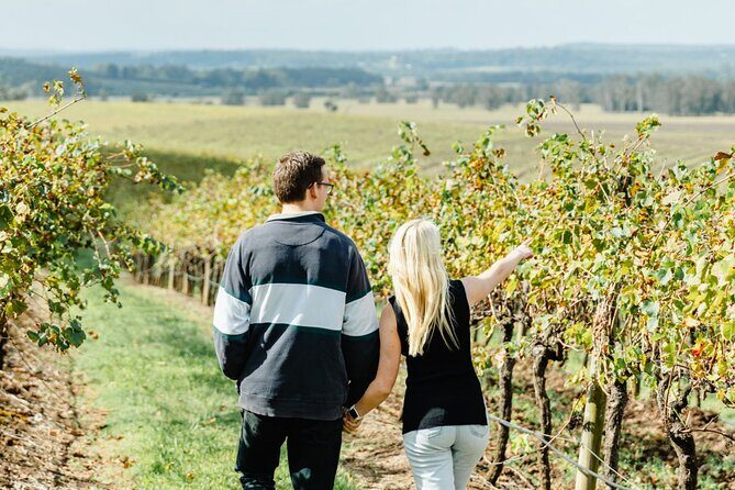 Newcastle: Boutique Hunter Valley Wine Tour - Authentic Experiences and Guest Insights