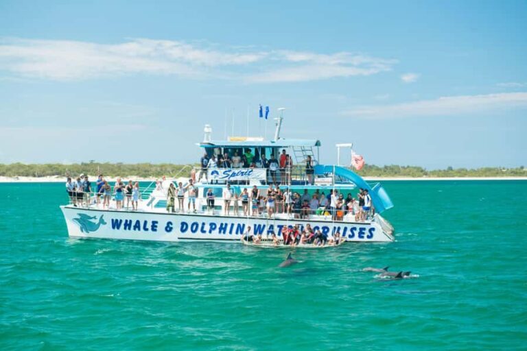 Newcastle: Port Stephens day tour. Dolphins, hike, swim. - The Practicalities: What to Expect & Tips