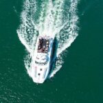 Newcastle Whale Watching Cruise - The Sum Up