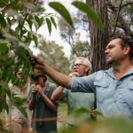 Ngilgi Cave Cultural Tour - In-Depth Look at the Ngilgi Cave Cultural Tour