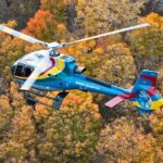 Niagara Falls Autumn Colors and Maple Tasting Tour - Who Is This Tour Best For?