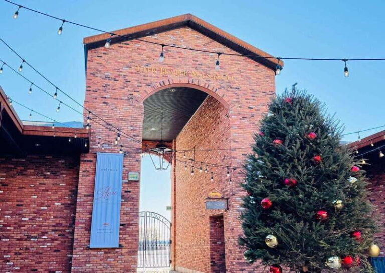 Niagara Falls Tour with Skip the Line Cruise - What’s Included and What to Consider