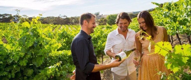 Niagara-on-the-Lake: Bicycle Tour with Wine Tasting - Practical Details and Value