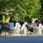 Niagara-on-the-Lake: Guided Vehicle Tour(The Prettiest Town) - What Sets This Tour Apart?