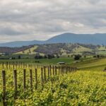 Niagara Wine Trail Tour - Price and Value: Is It Worth It?