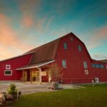 Niagara's Decadent Sparkling and Icewine Tasting - Who Will Love This Tour?