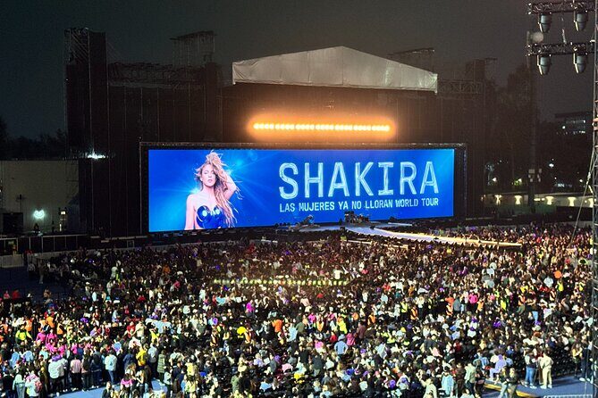 Night of VIP Concert in Mexico City with Private Transfer - The Cost and Its Value