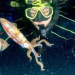 Night Snorkeling - Observation of octopus and other species - Final Thoughts: Is It Worth It?