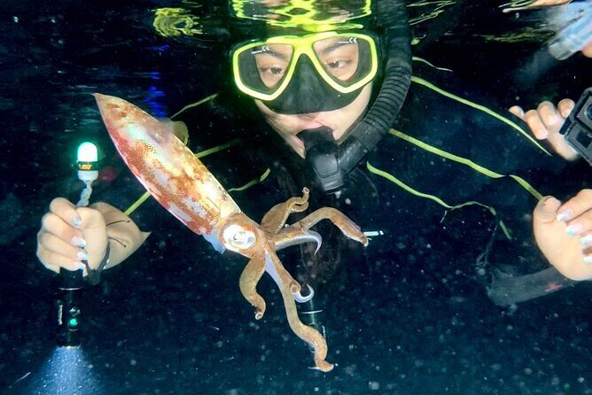 Night Snorkeling - Observation of octopus and other species - Final Thoughts: Is It Worth It?