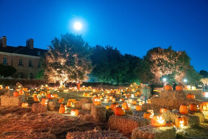 Nightfall - What to Expect During Your Visit