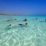 Ningaloo Reef Snorkel Adventure - What Travelers Love About the Tour