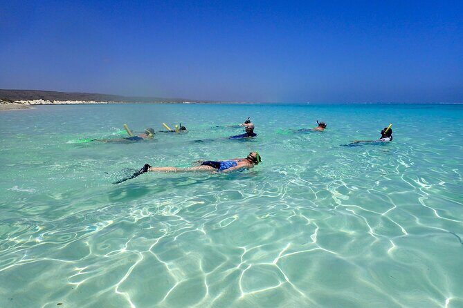 Ningaloo Reef Snorkel Adventure - What Travelers Love About the Tour