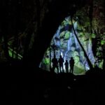 Nocturnal adventure Glow-worm tour - Final Thoughts