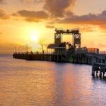 Nocturnal Tour of Kangaroo Island - Practical Tips & Considerations