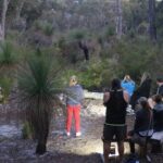 Nocturnal Wildlife Tour from Busselton - The Sum Up