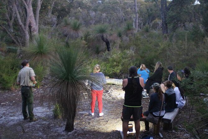 Nocturnal Wildlife Tour from Busselton - The Sum Up