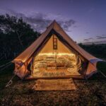 Nocturnal Wonders Tawharanui Kiwi Spotting and Stargazing Tour - What Travelers Love About the Tour