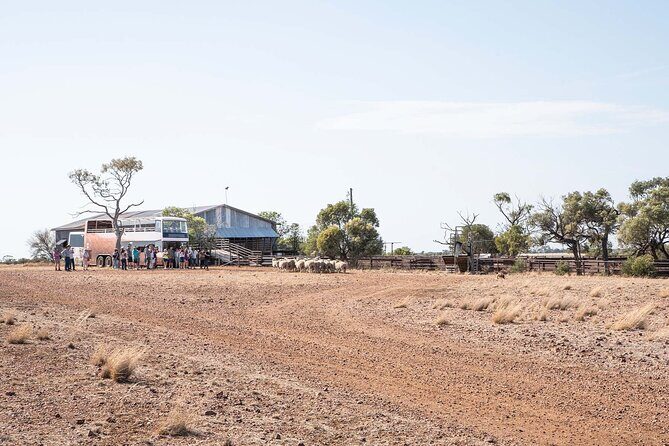 Nogo Station Experience - Camp Life and Pioneer Smoko