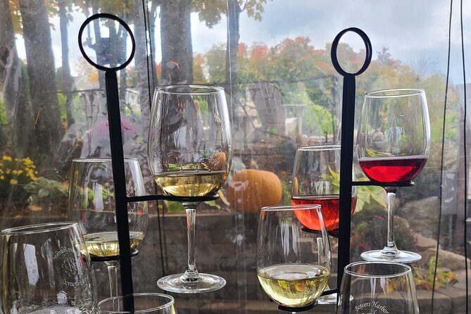 NON BUS FALL COLORS Traverse City Old Mission Wine Tour - Detailed Breakdown of the Itinerary