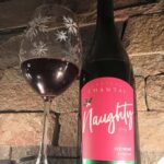 NON BUS GIRLS TRIP Traverse City Old Mission Wine Tour - The Itinerary in Detail