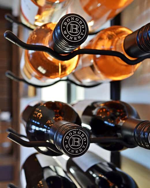 NON BUS Sunday Funday Traverse City Old Mission Wine Tour - Frequently Asked Questions