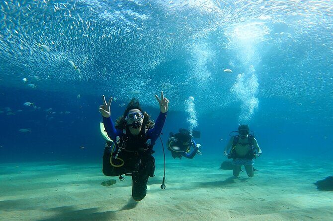Non-Certified Diving Adventure in Cabo San Lucas - The Experience: What You’ll See and Do